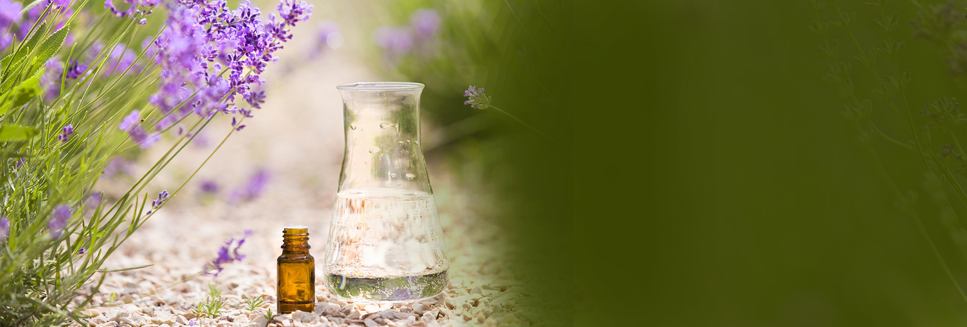Swedish Connections - The Leading Store for Spirit Essences
